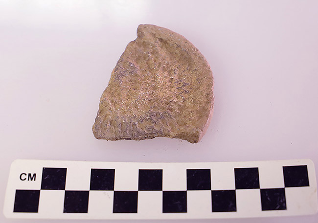 Basketry Impressed Base Sherd from Heber Springs - Arkansas ...