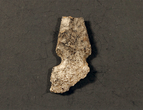 A Cahokia Notched Point from Lee County